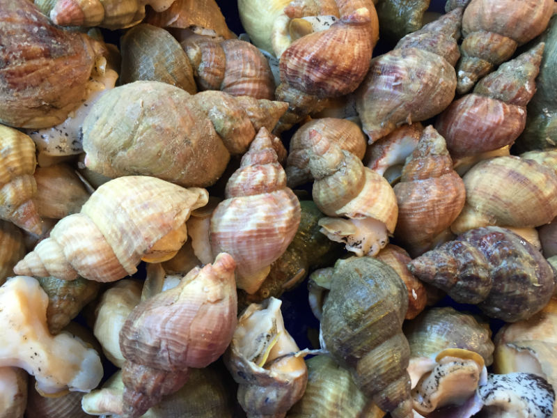 les crustacés de nos cotes - armor pesked